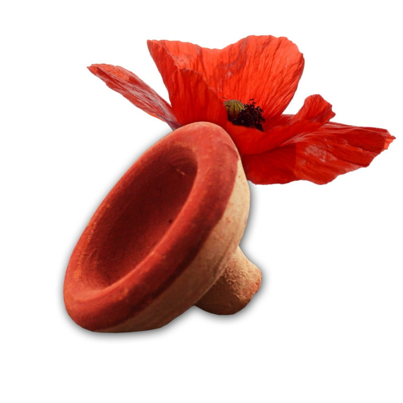 Enhance Your Lips Naturally: Discover Aker el Fassi, the Moroccan ...